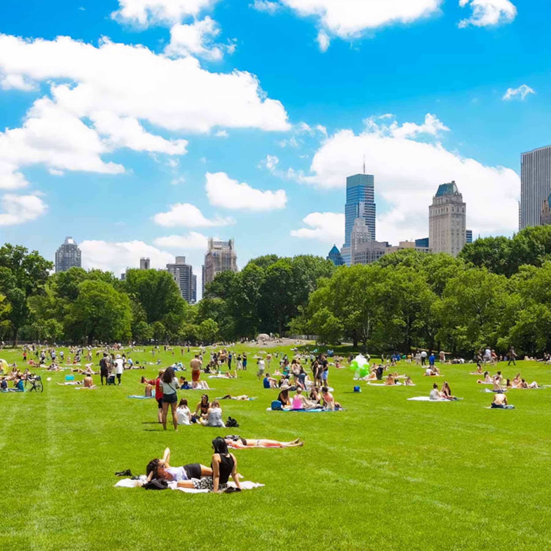 Common Summer Illnesses And Their Symptoms - Sickday